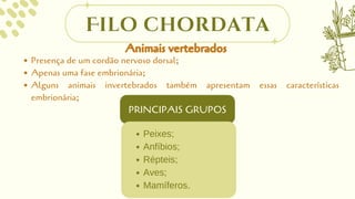 Filo Chordata do reino animaliaslide.pdf