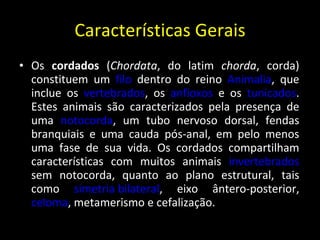 Filo dos cordados atual | PPT