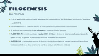 FILOGENESIS CLASE 3 PENDIENTE.pptx