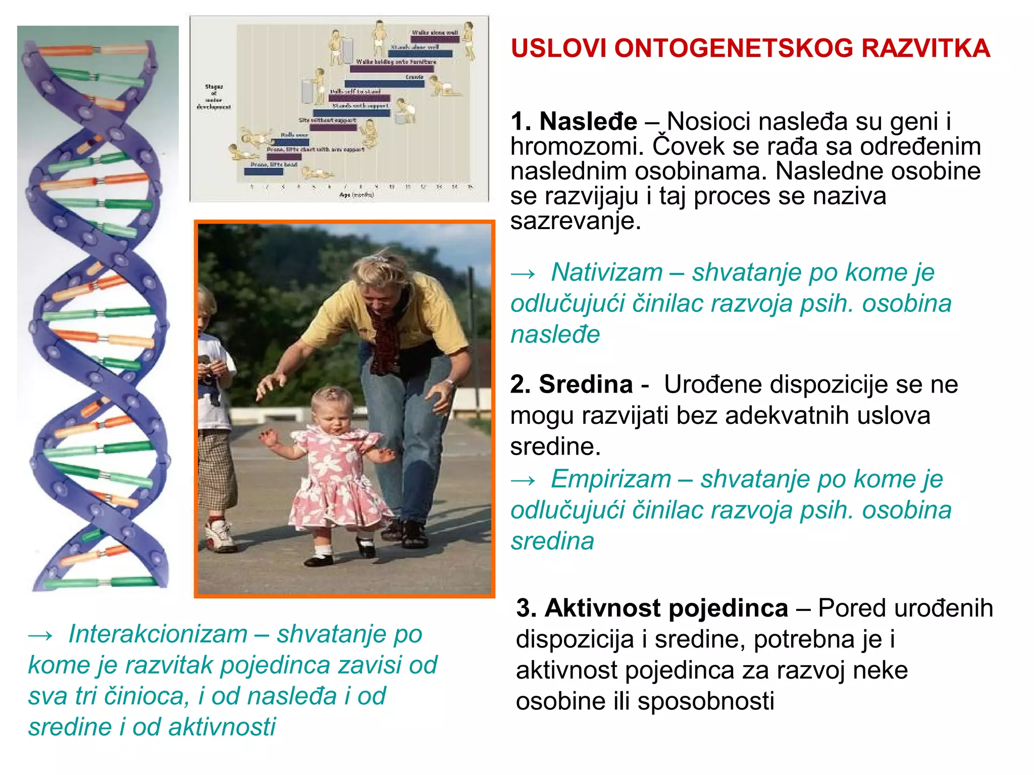 Filogeneza i ontogeneza | PPT