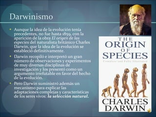 Filogenia humana | PPT