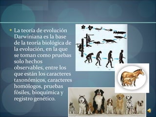 Filogenia humana | PPT