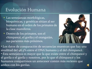 Filogenia humana | PPT