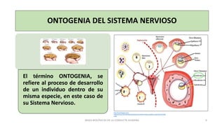 FilogeniaFILOGE y Ontogenia del sistema nervioso. .pdf