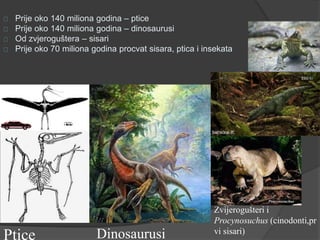 Filogenija zivog svijeta | PPT