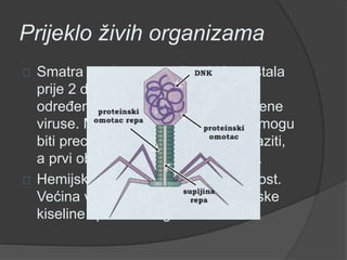 Filogenija zivog svijeta | PPT
