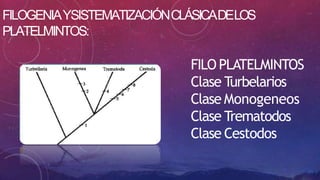 Filo platelmitos | PPTX