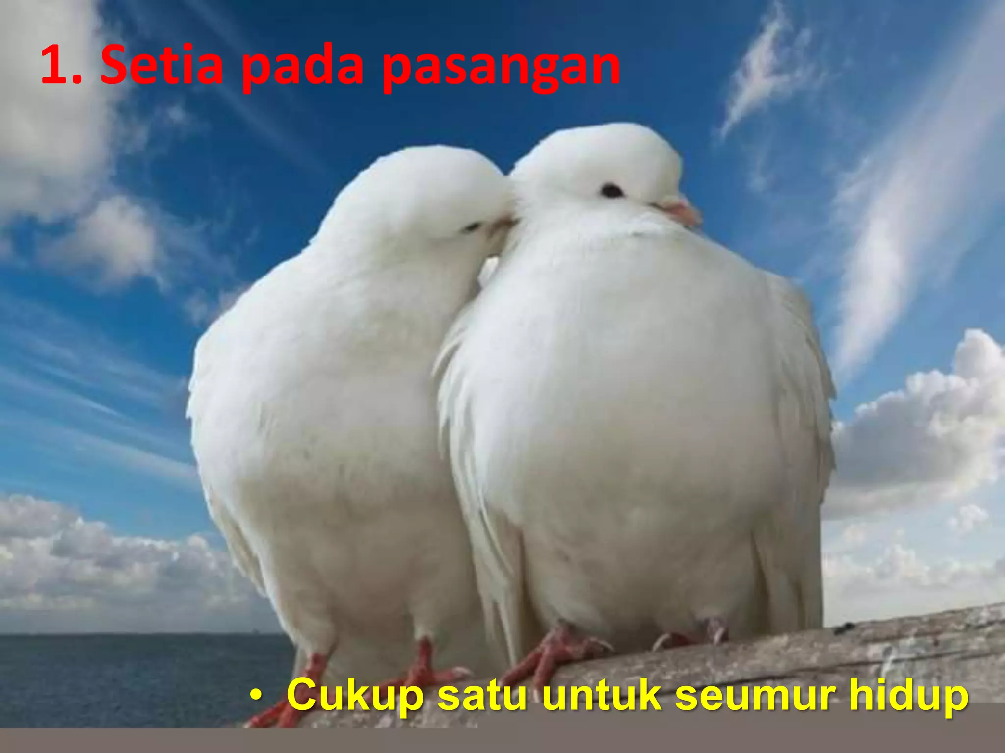 Filosofi burung merpati | PPT