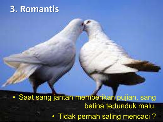 Filosofi burung merpati | PPTX