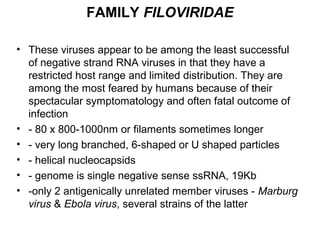 Filoviridae | PPT