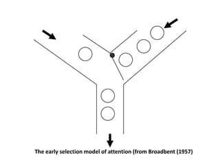 filter & capacity theories.pptx