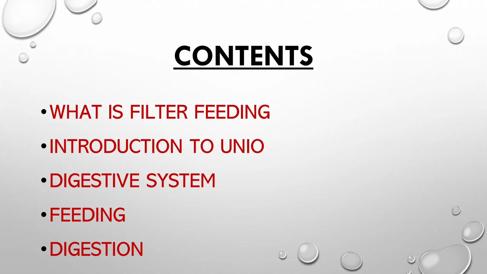 filter feeding in molluscs (invertebrates) | PDF