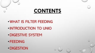 filter feeding in molluscs (invertebrates) | PDF