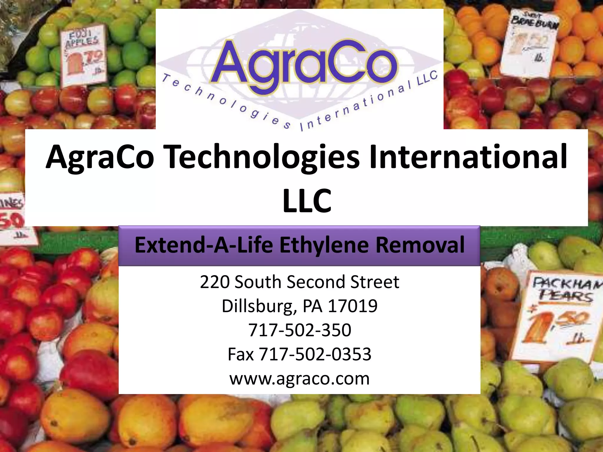 Ethylene Filter presentation | PPT