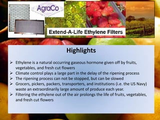 Ethylene Filter presentation | PPT