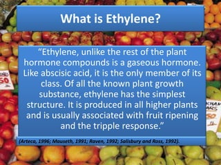 Ethylene Filter presentation | PPT