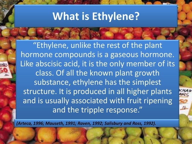 Ethylene Filter presentation | PPT