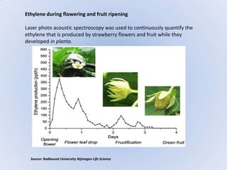 Ethylene Filter presentation | PPT