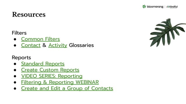 Filter_reports slides - work in progress.pdf