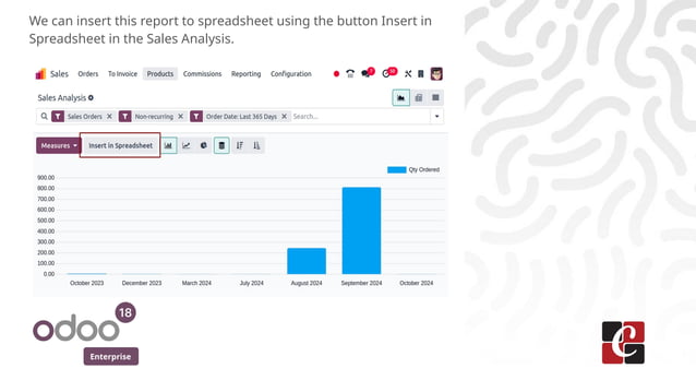 Filters in Odoo 18 Spreadsheets - Odoo Slides | PPTX
