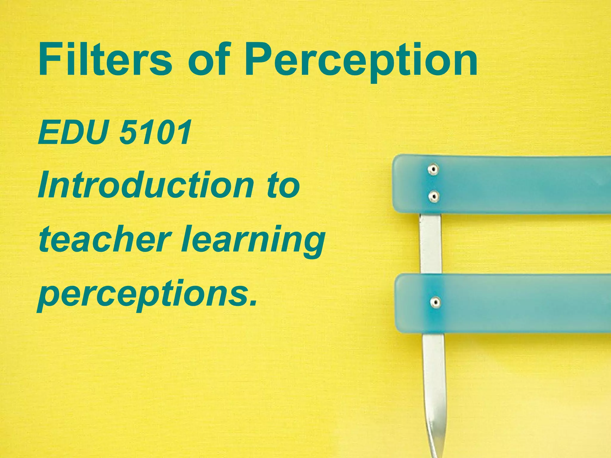 Filters Of Perception Introduction | PPT