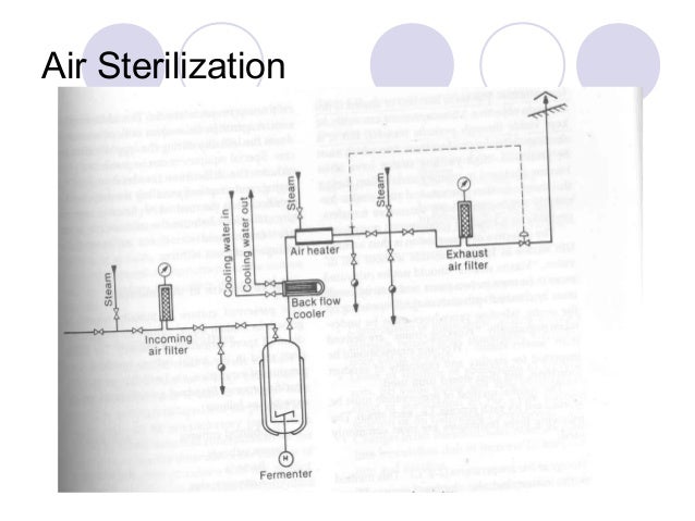 Filter sterilization