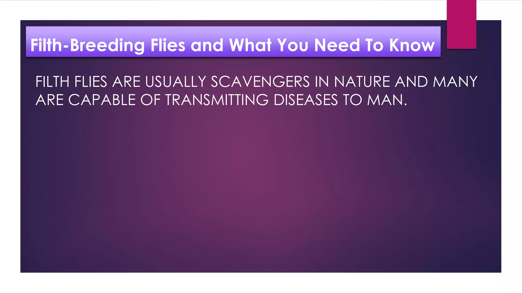 Filth Breeding Flies PDF Course.pdf