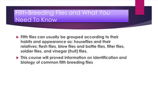 Filth Breeding Flies PDF Course.pdf