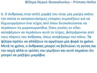 Φίλτρα Νερού Θεσσαλονίκη Primato Hellas | PPT