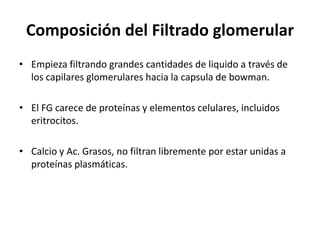 Filtrado glomerular | PPTX
