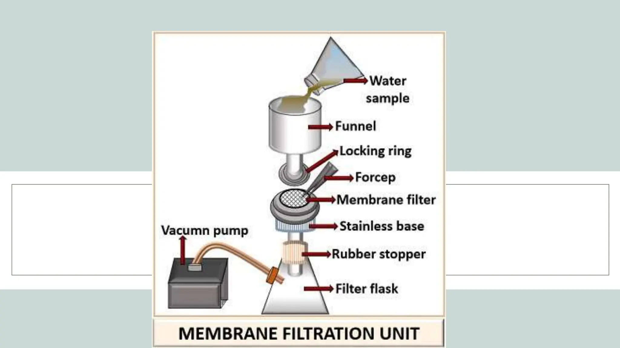 Filtration Membrane filter and sintered glass filter.pptx