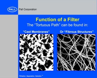 Principles of filtration liquid (Intemediate) | PPT