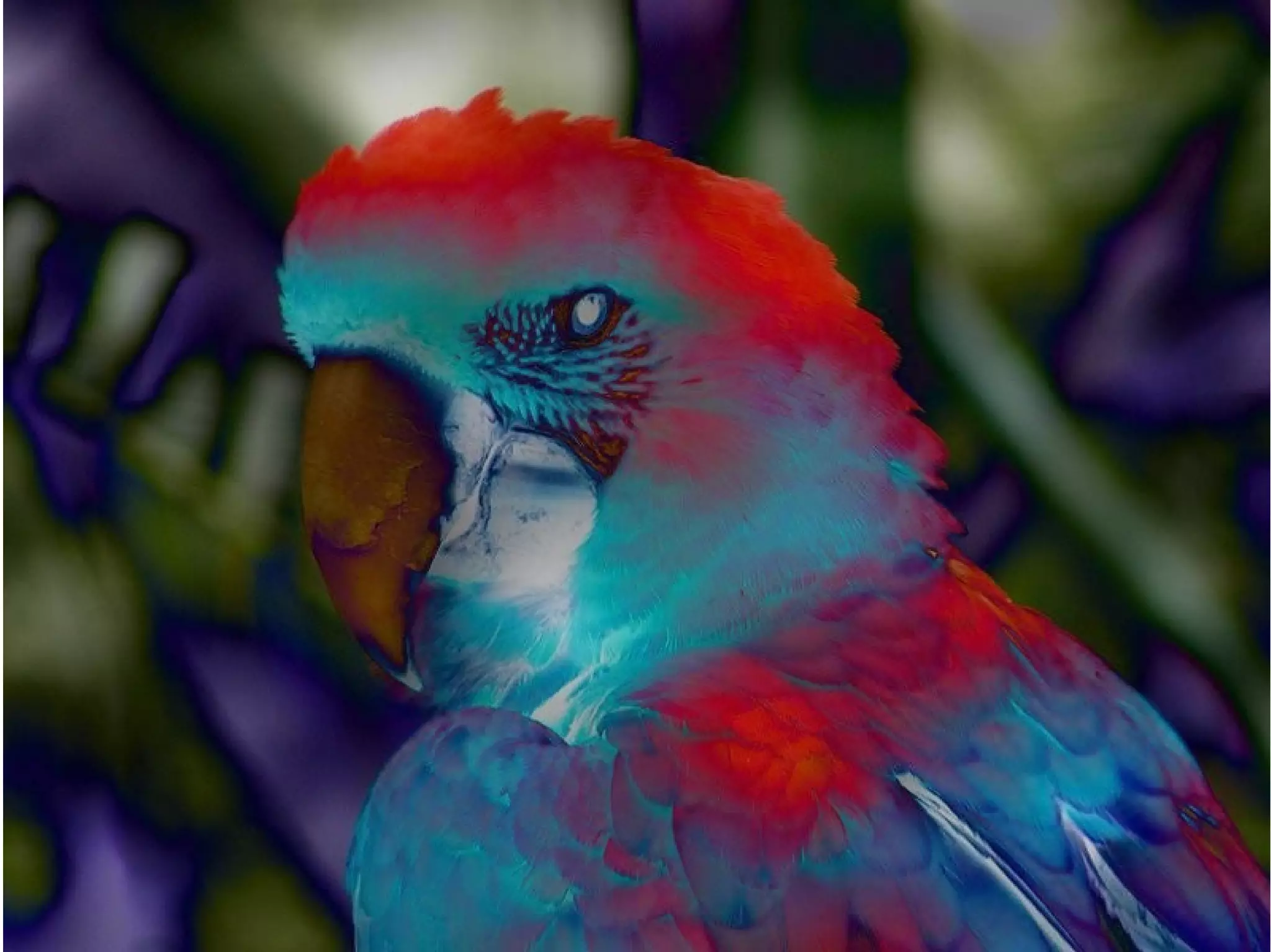 Filtros del loro practica 17 | PPT