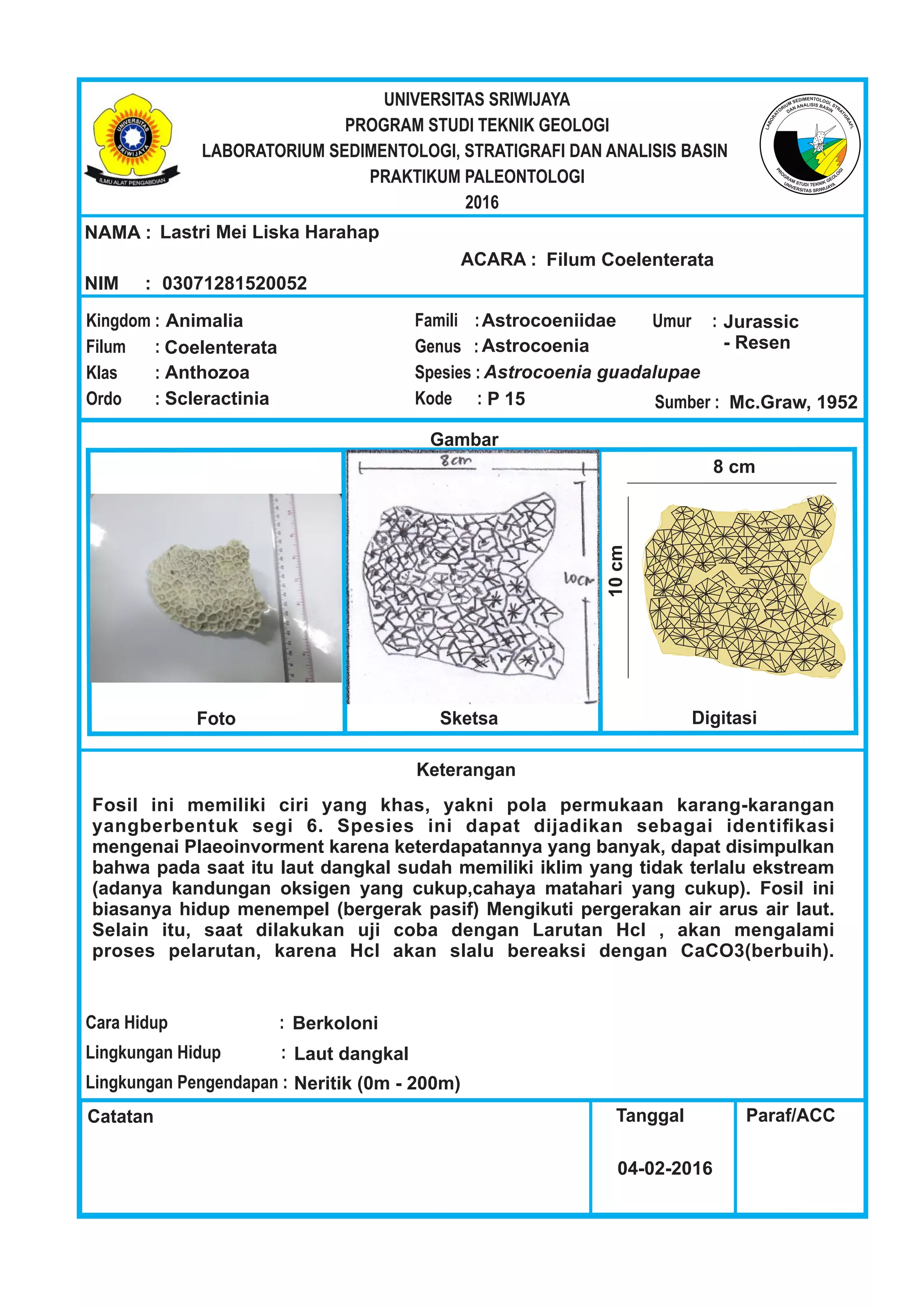 Deskripsi Spesies Filum coelenterata (Paleontologi) | PDF