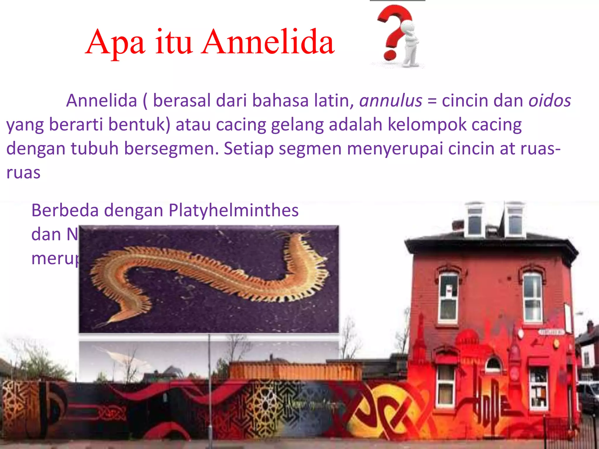 Filum annelida | PPT