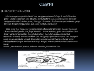 Filum cilliata | PPTX