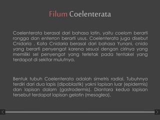 Filum coelenterata | PPTX