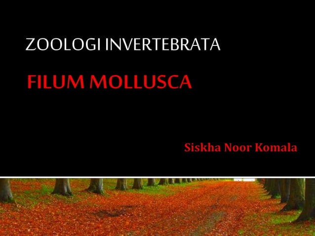 Filum mollusca | PPT