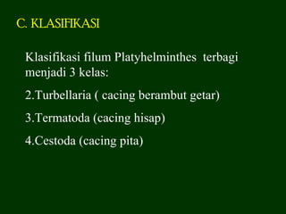 Filum platyhelminthes | PPT