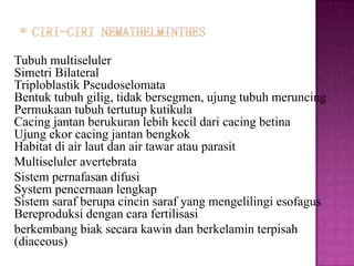Filum platyhelminthes, nemathelminthes, anellida. | PPTX