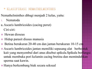 Filum platyhelminthes, nemathelminthes, anellida. | PPTX