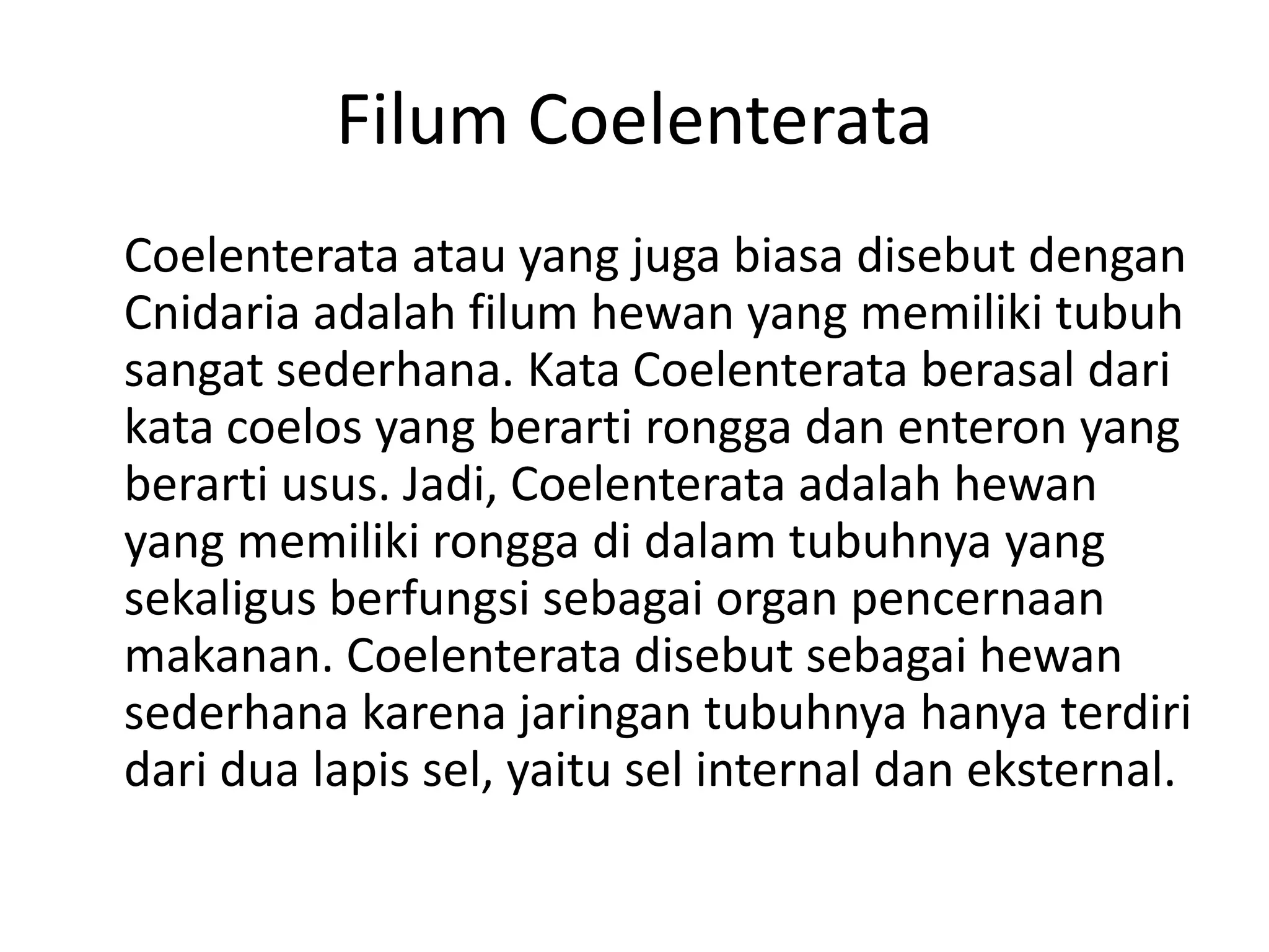 Filum porifera, coelenterata & platyhelminthes | PPTX