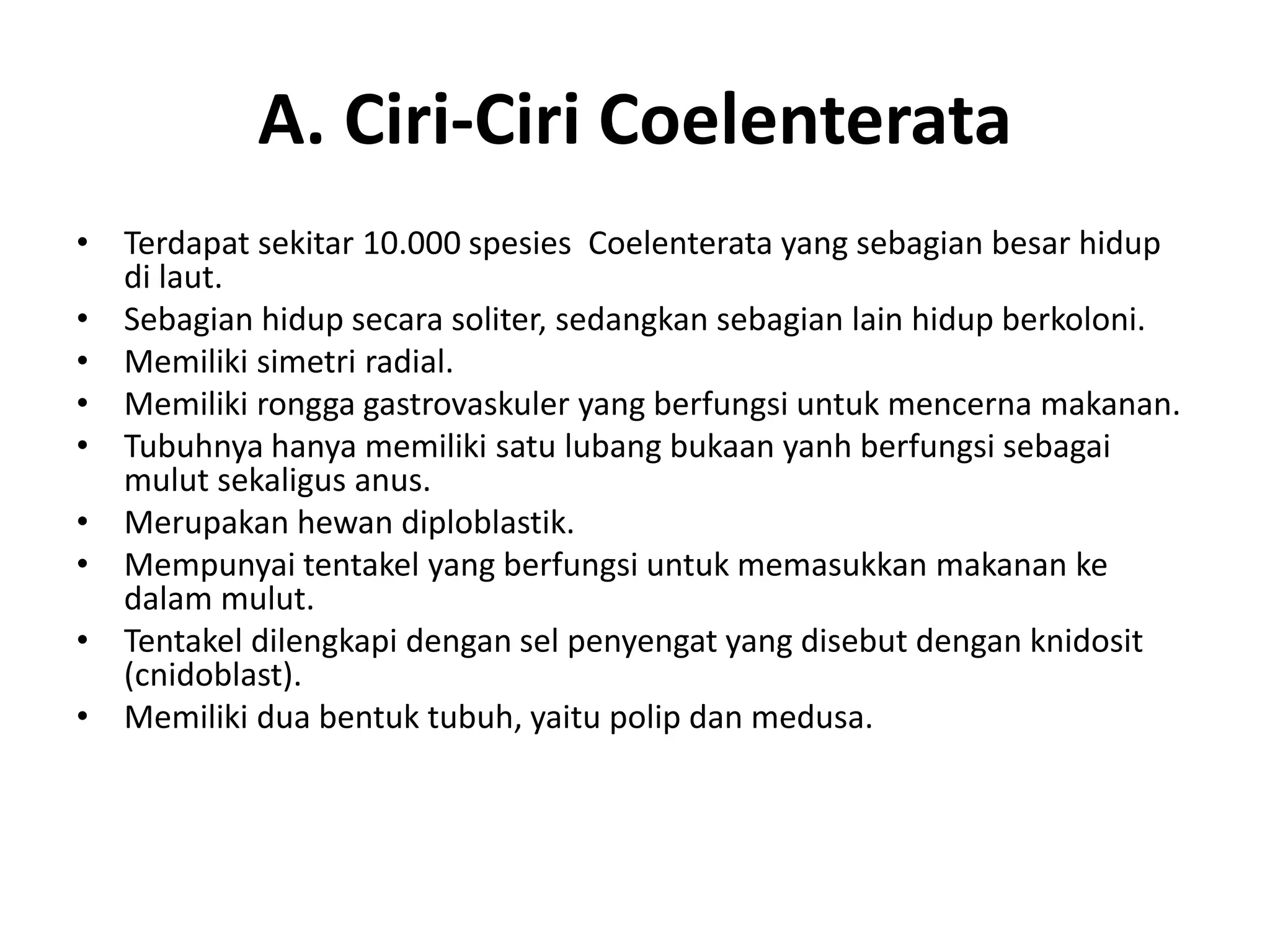 Filum porifera, coelenterata & platyhelminthes | PPTX