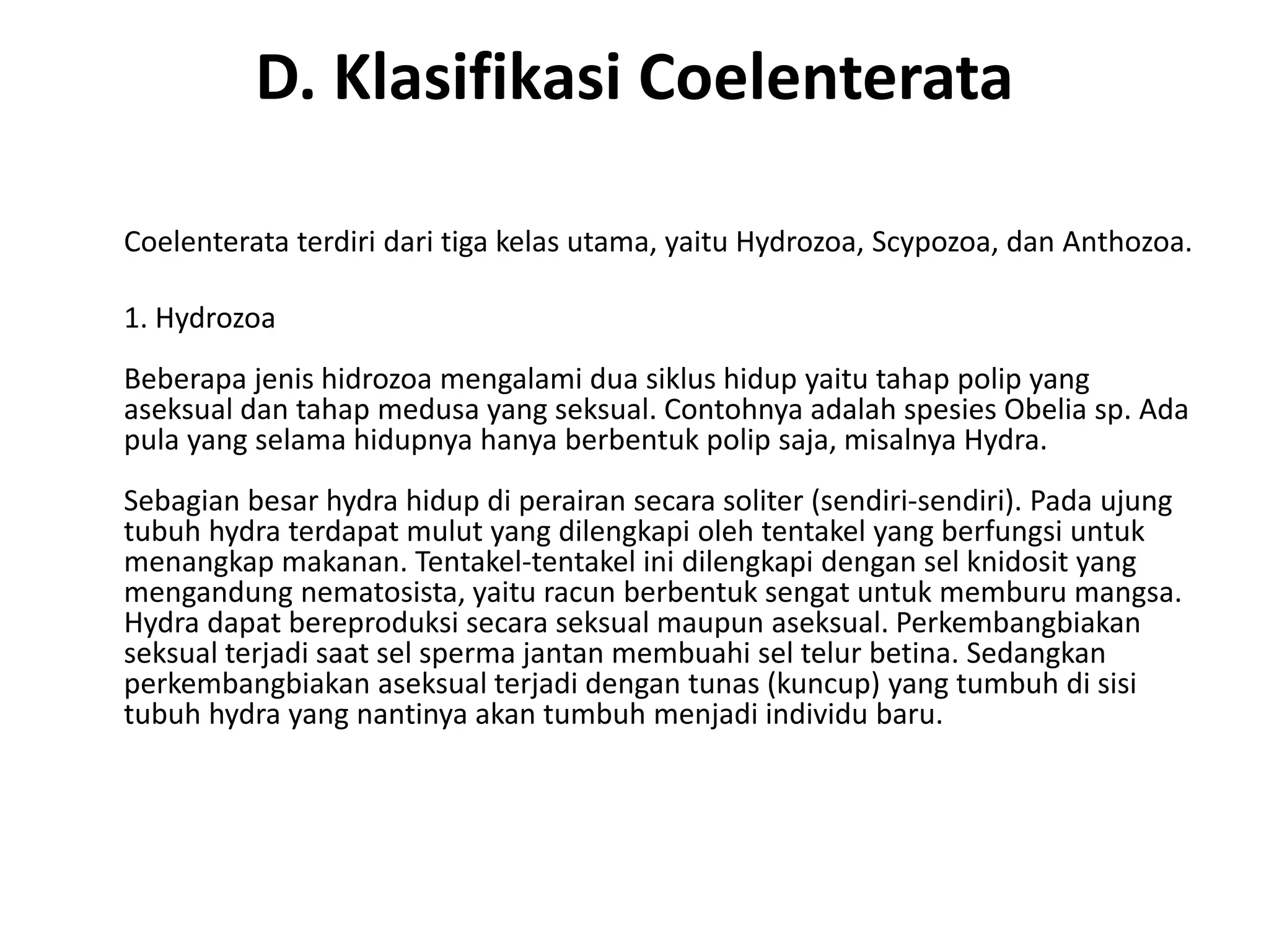 Filum porifera, coelenterata & platyhelminthes | PPTX