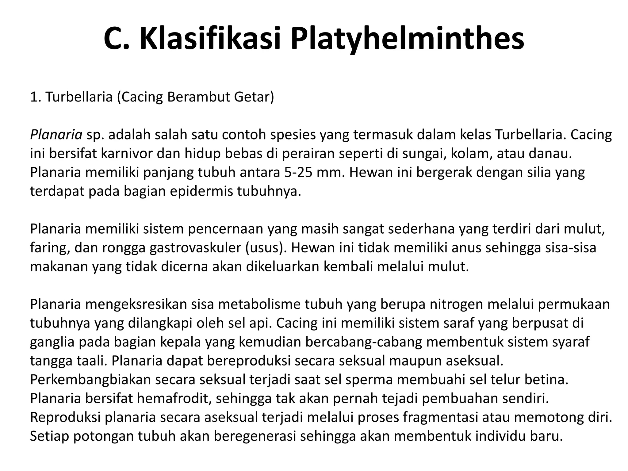 Filum porifera, coelenterata & platyhelminthes | PPTX