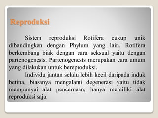 Filum rotifera | PPTX