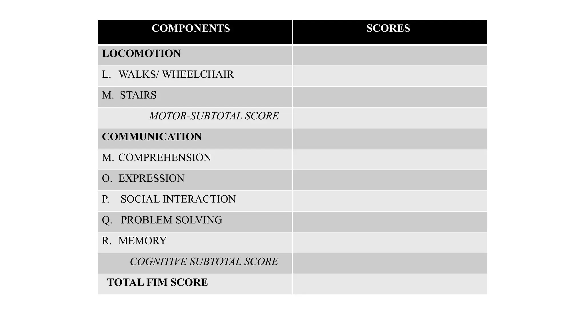 Functional Independence Measure-Presentation.pptx