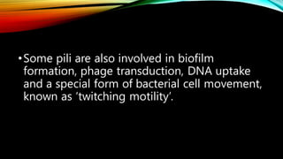 Fimbriae and pili | PDF