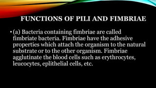 Fimbriae and pili | PDF