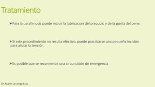 Fimosis y parafimosis | PPTX